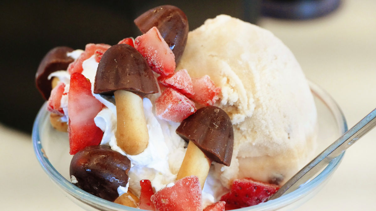 Magic Mushroom Cooking Recipes: Culinary Delights